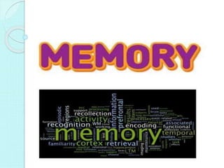 Memory.pdf