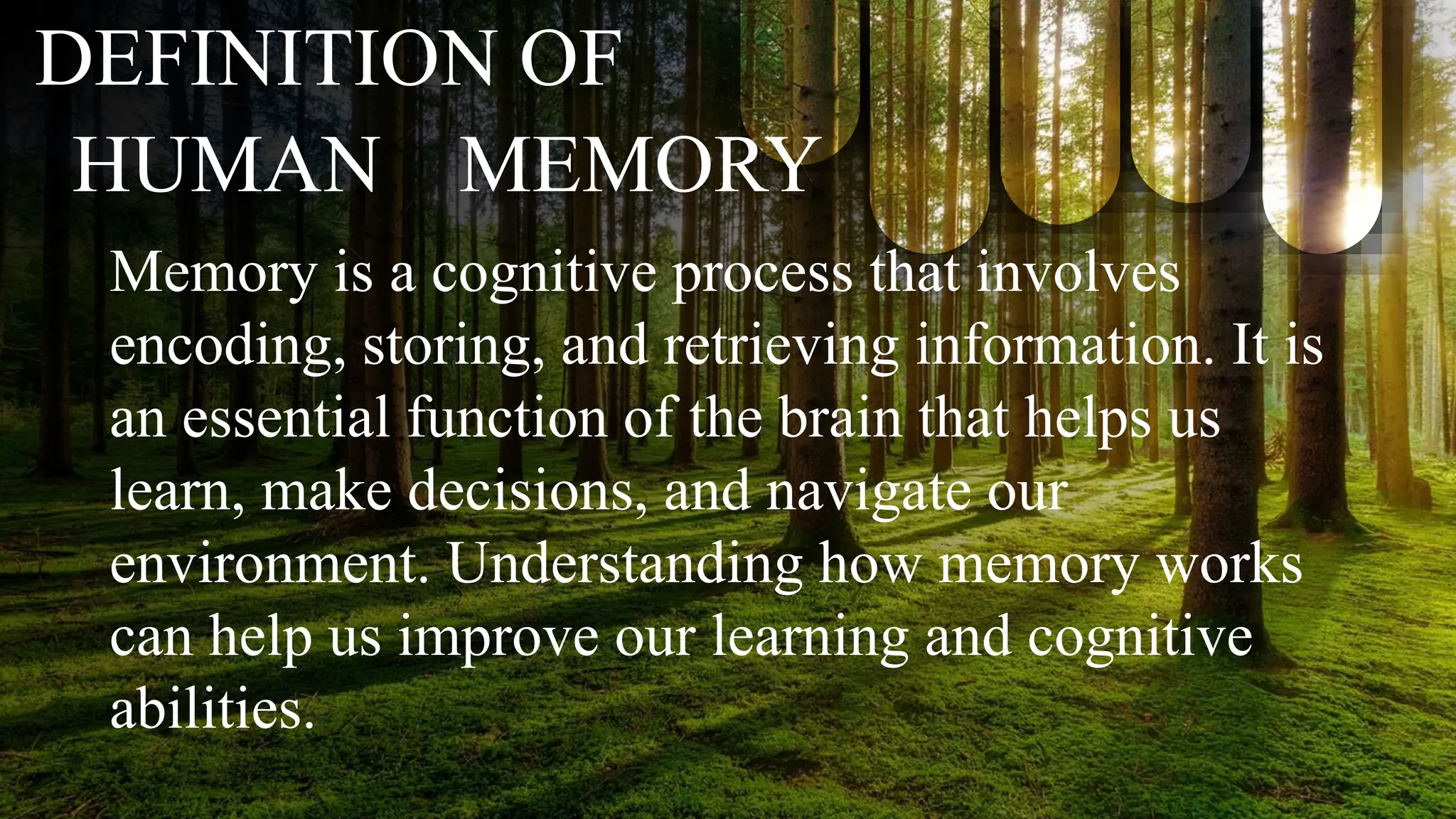 Human Memory processes.pptx slidesshares | PPTX