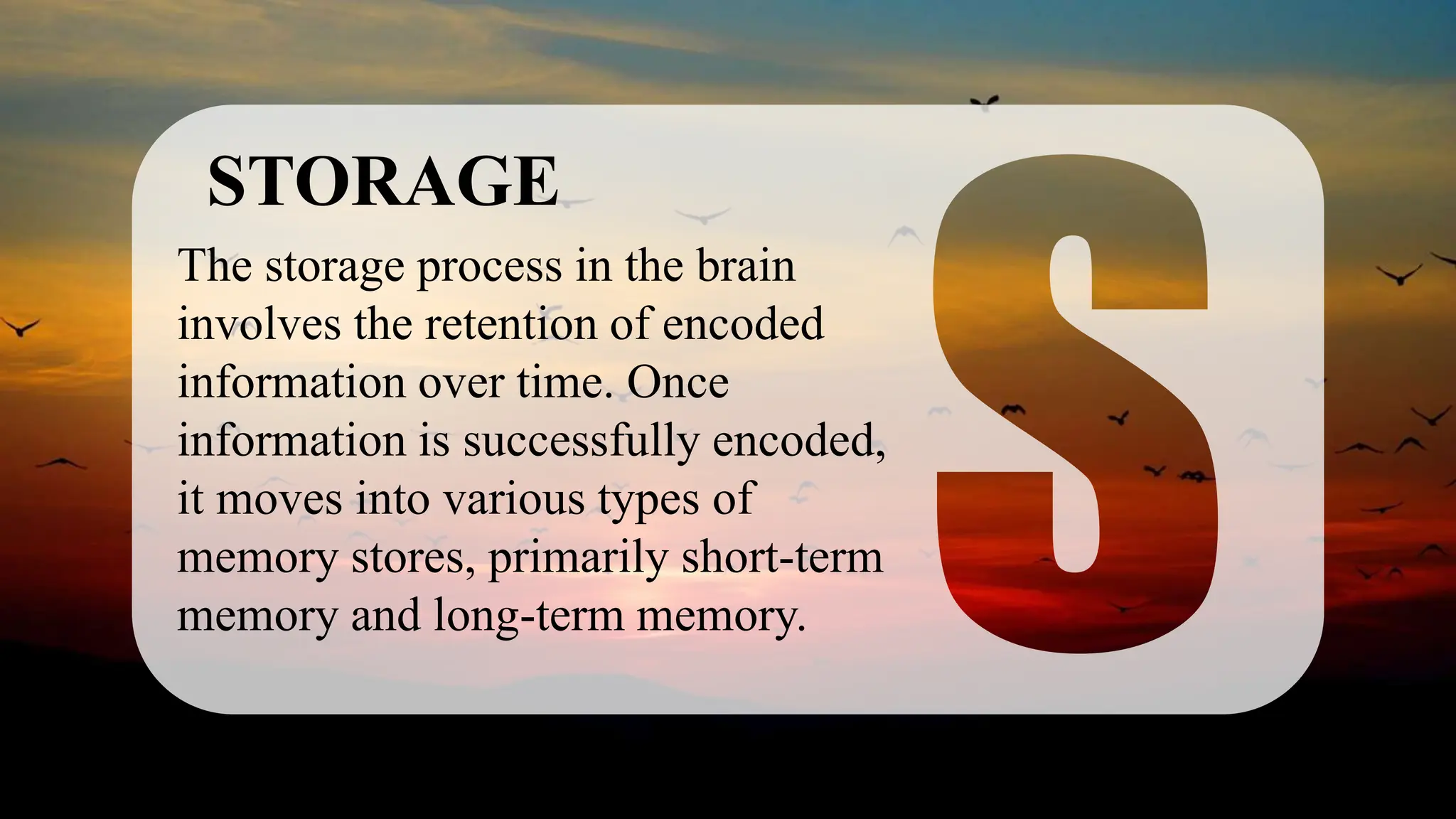Human Memory processes.pptx slidesshares | PPTX