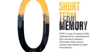 Human Memory processes.pptx slidesshares | PPTX