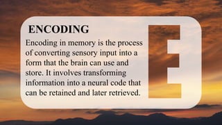 Human Memory processes.pptx slidesshares | PPTX