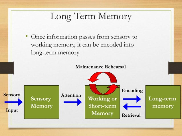 Memory.ppt