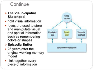 Memory a mass of tissue formed as a res | PPT