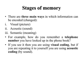 MEMORY, PROCESS AND FOGETTING IN PSYCHOLOGY | PPTX