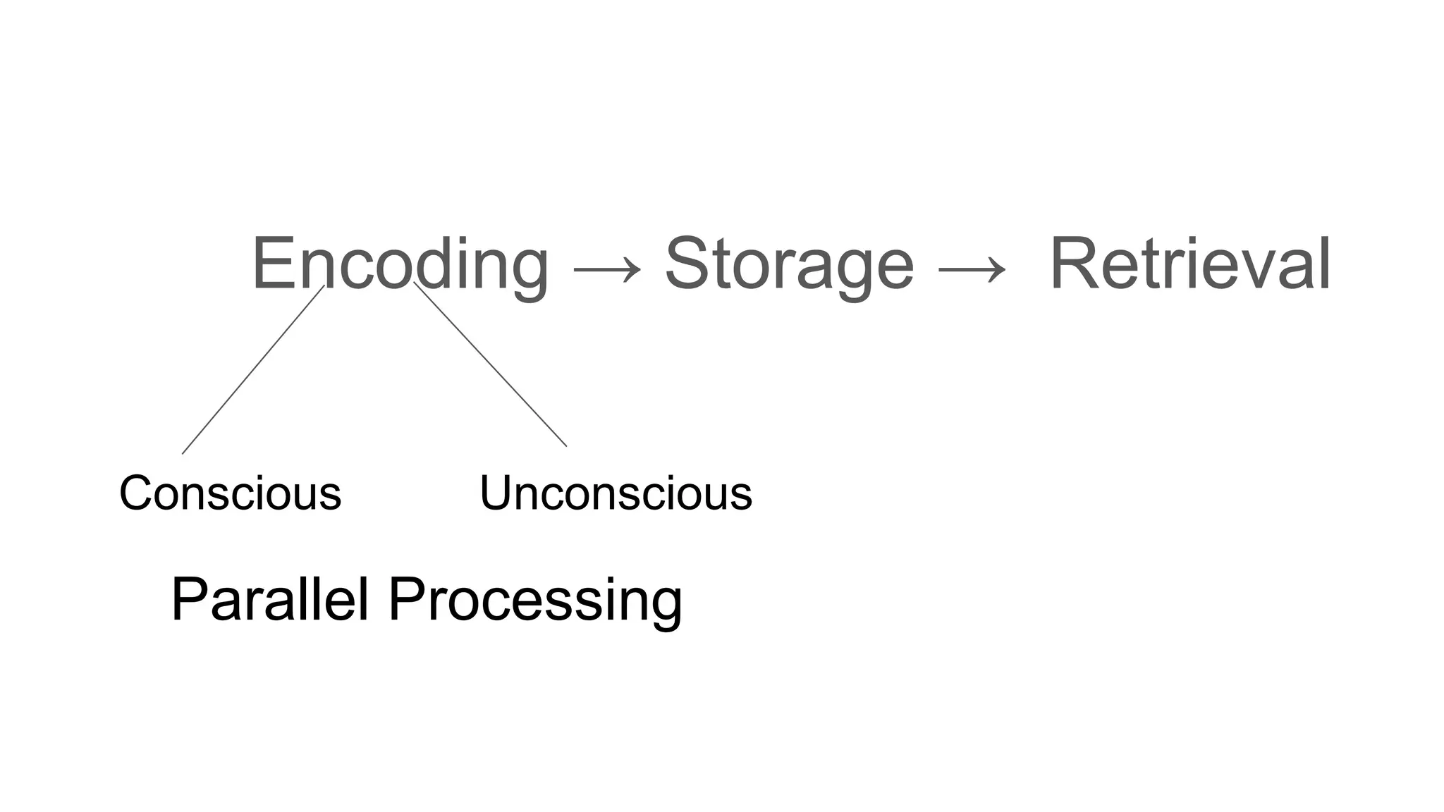 Introduction to Psychology - A lecture on Memory | PPTX