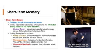 Memory in Intro to Psychology Powerpoint | PPTX
