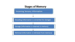 memory complete presentation complete ppt | PPT