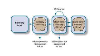 memory complete presentation complete ppt | PPT