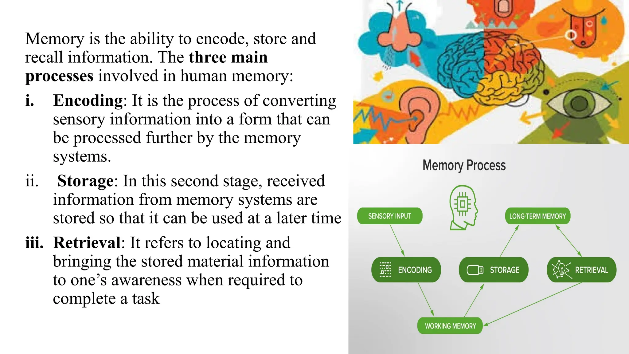 Presentation on Memory and thought processing.pptx