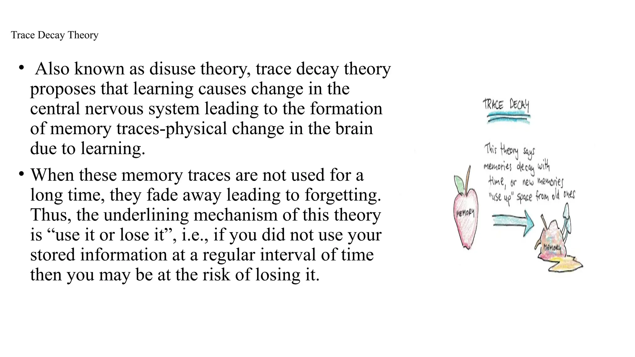 Presentation on Memory and thought processing.pptx
