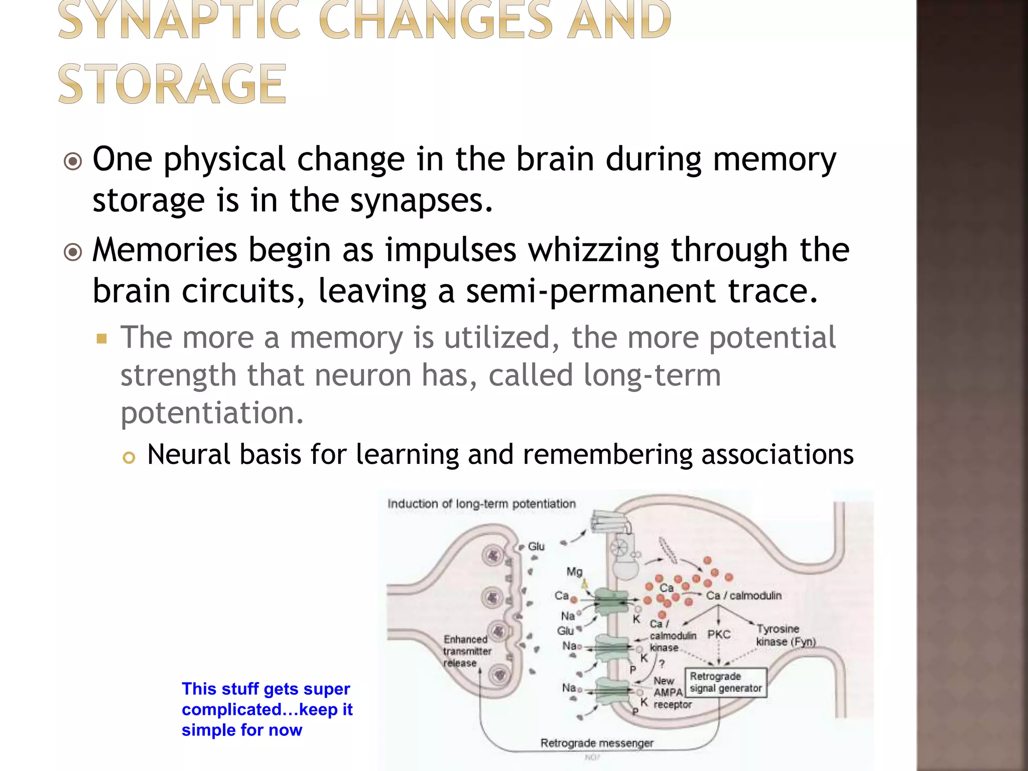 Memory - cognition | PPTX