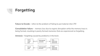 Memory - Cognitive Psychology .pptx