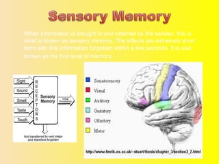 Memory | PPT
