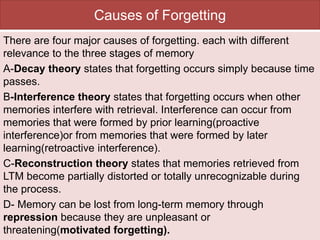 MEMORY (1).pptx | Data Storage and Warehousing | Computing