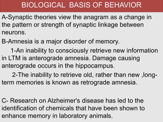 MEMORY (1).pptx | Data Storage and Warehousing | Computing