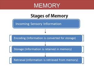 MEMORY (1).pptx | Data Storage and Warehousing | Computing