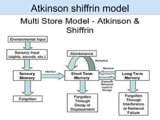 MEMORY (1).pptx | Data Storage and Warehousing | Computing