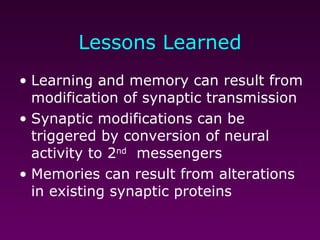 Memory2 | PPT