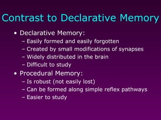 Memory2 | PPT