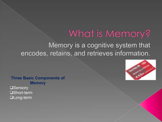Memory | PPT