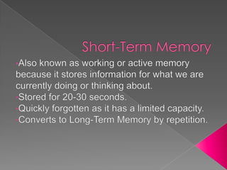 Memory | PPT