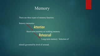 Memory | PPT