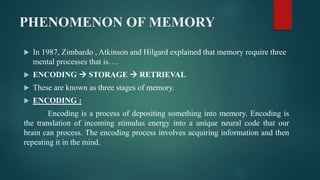 Memory | PPT