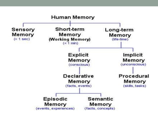 Memory | PPTX