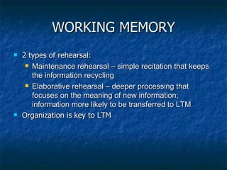 Memory and forgetting | PPT