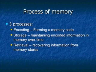Memory and forgetting | PPT