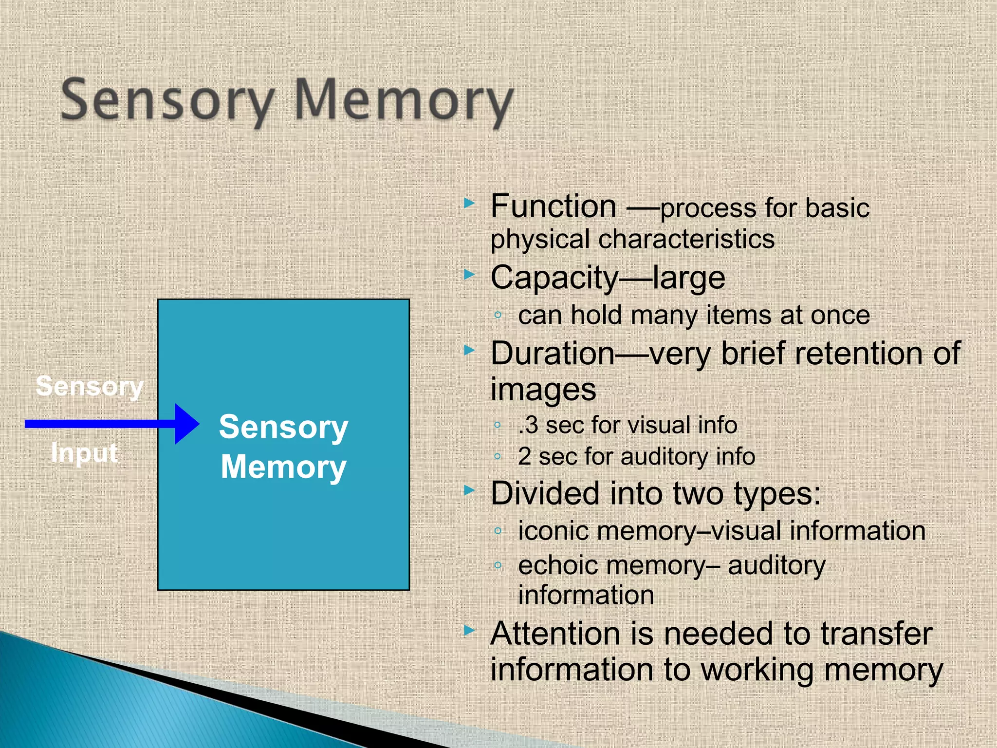 Memory and forgetting | PPT