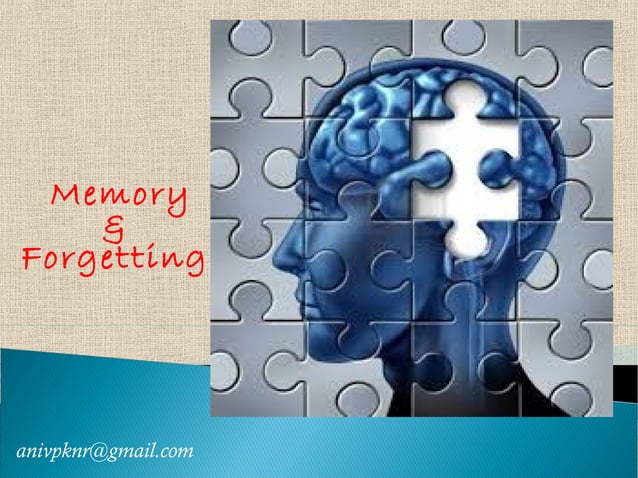 Memory and forgetting | PPT | Data Storage and Warehousing | Computing