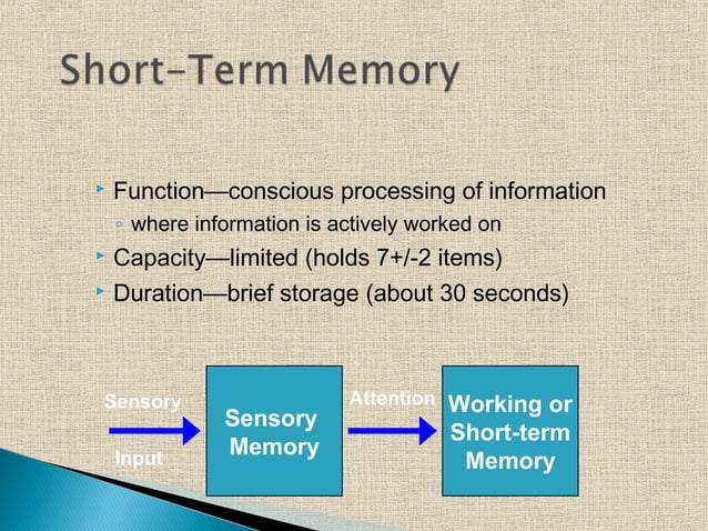 Memory and forgetting | PPT | Data Storage and Warehousing | Computing