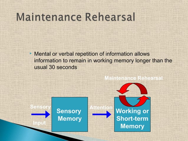 Memory and forgetting | PPT | Data Storage and Warehousing | Computing