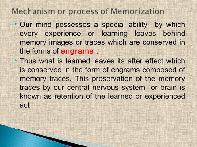 Memory and forgetting | PPT | Data Storage and Warehousing | Computing