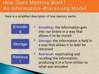 Memory and forgetting | PPT