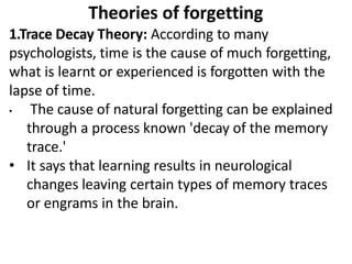 Memory and forgetting | PPTX