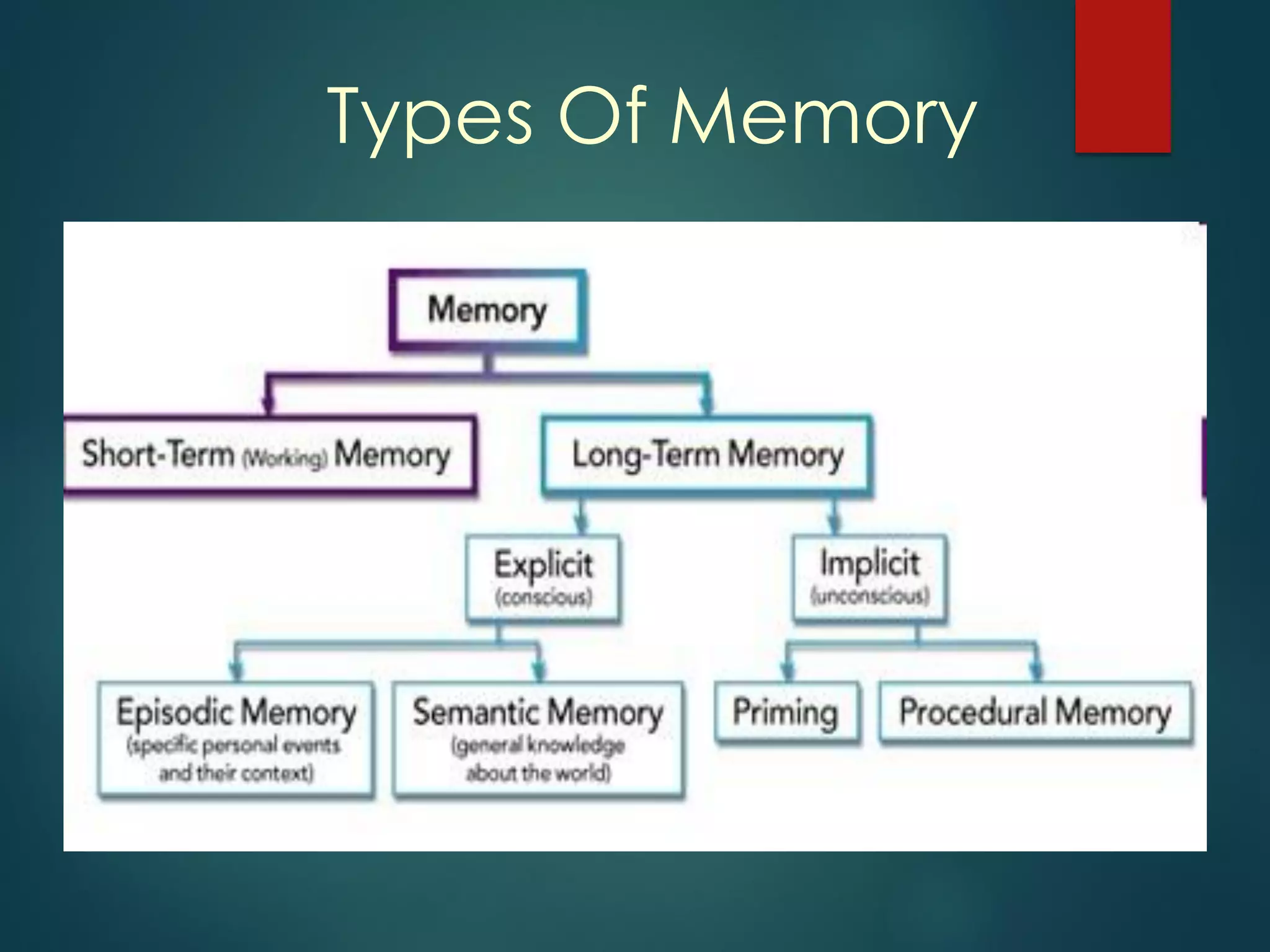 Memory and forgetting in psychology | PDF
