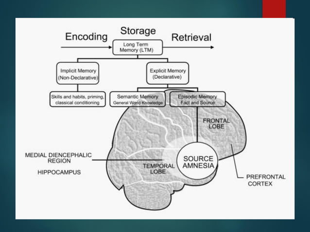 Memory and forgetting in psychology | PDF