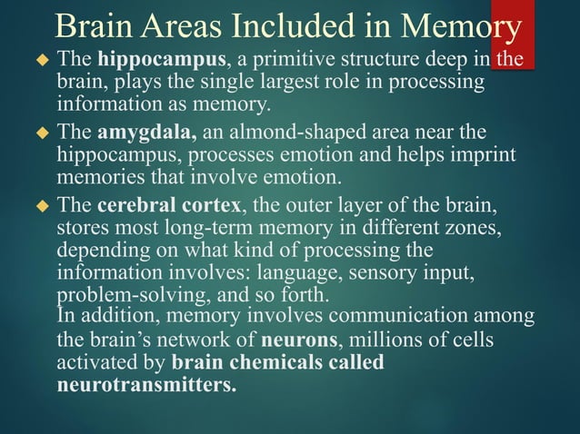 Memory and forgetting in psychology | PDF