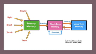 Memory and forgetting | PPTX