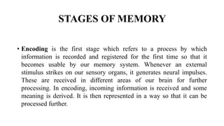 MEMORY, PROCESS AND FORGETTING IN PSYCHOLOGY | PPT