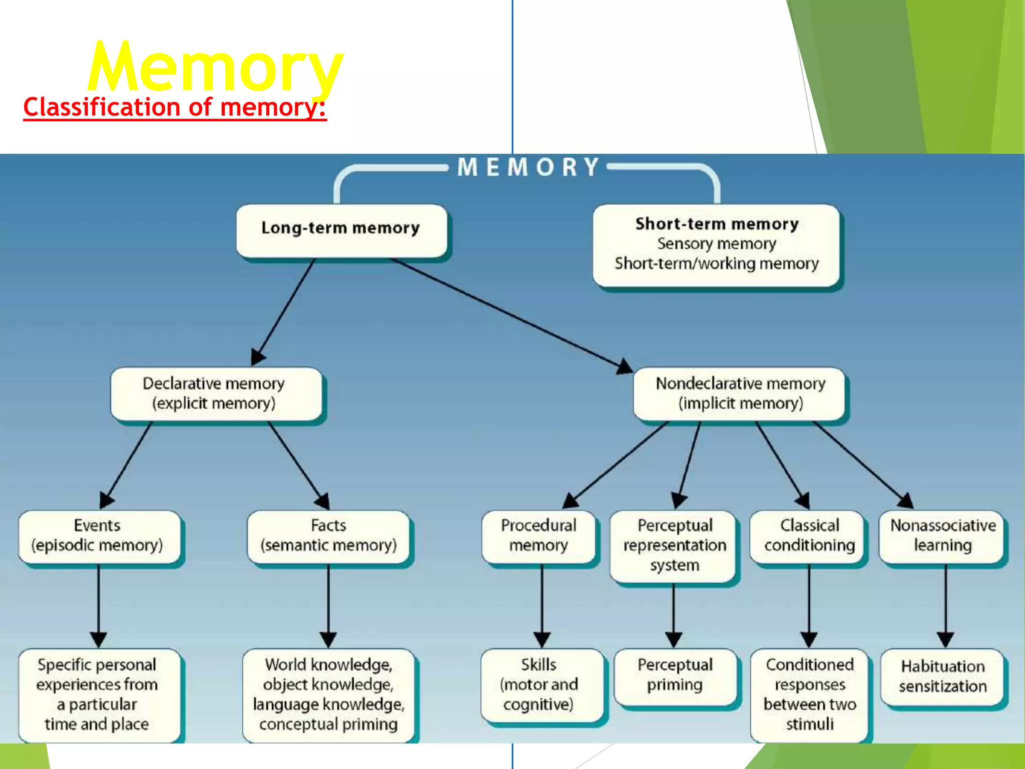 Memory and learning | PPT | Dogs | Pets