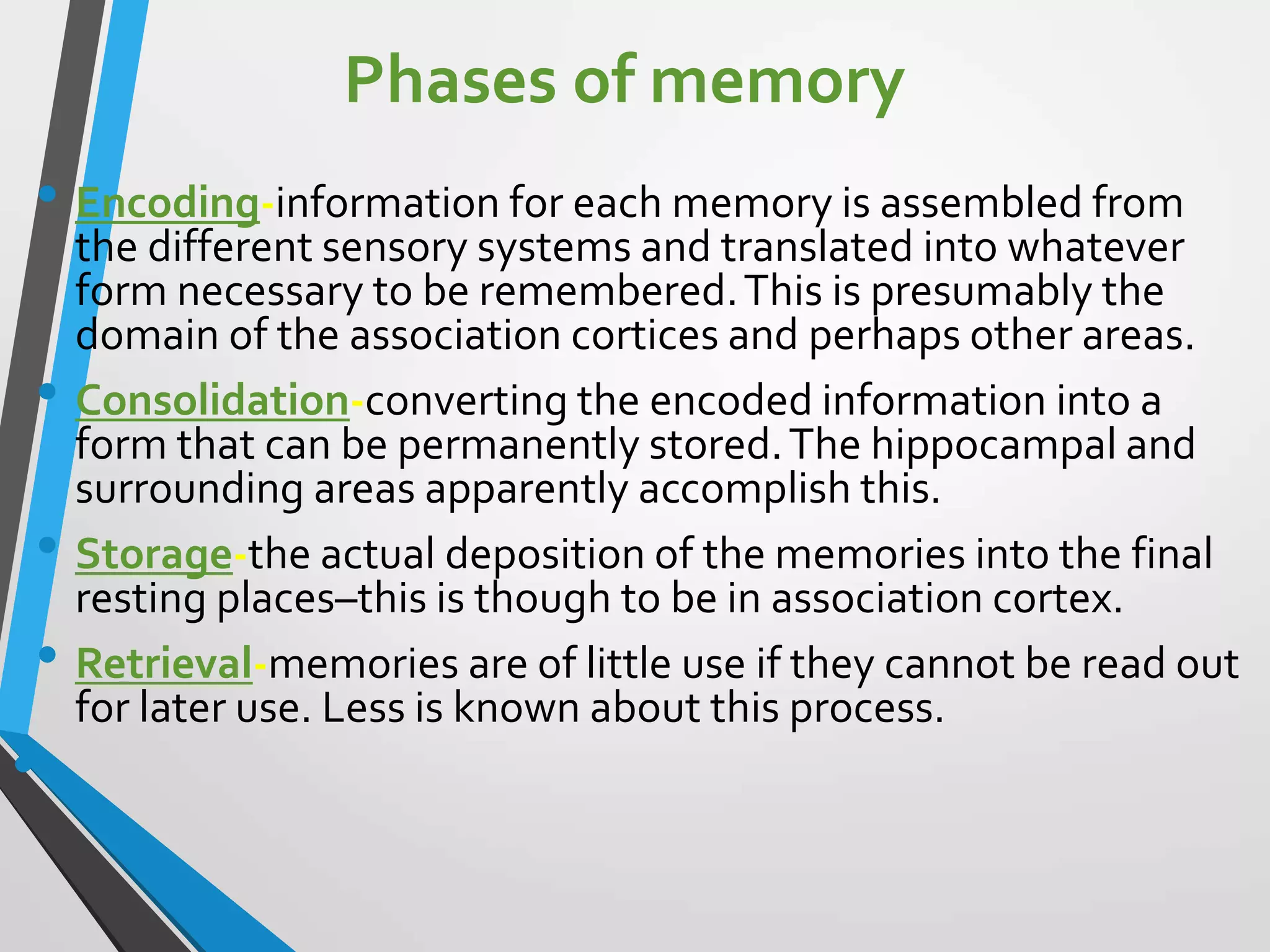 Memory and learning | PPT | Dogs | Pets