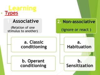 Memory and learning | PPT