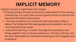 Memory and learning_20240611_202122_0000.pdf