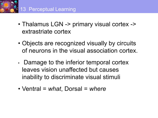 Memory and Learning in neurosciece.pptx