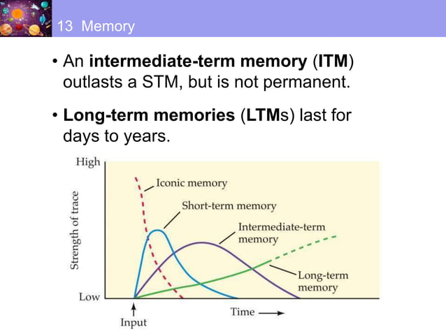 Memory and Learning in neurosciece.pptx