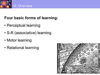Memory and Learning in neurosciece.pptx