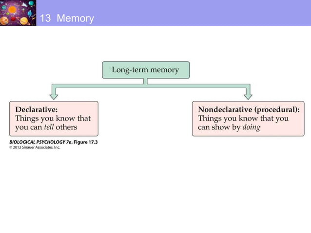 Memory and Learning in neurosciece.pptx